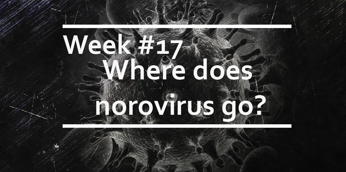 Where Does Norovirus Go VIROLOGY RESEARCH SERVICES
