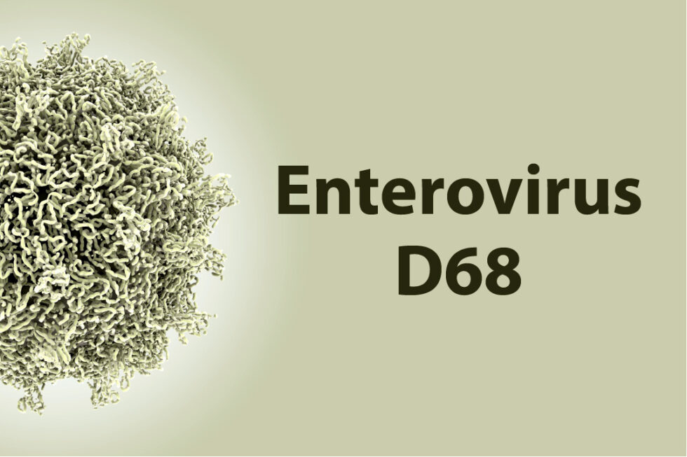 Enterovirus D68 - VIROLOGY RESEARCH SERVICES