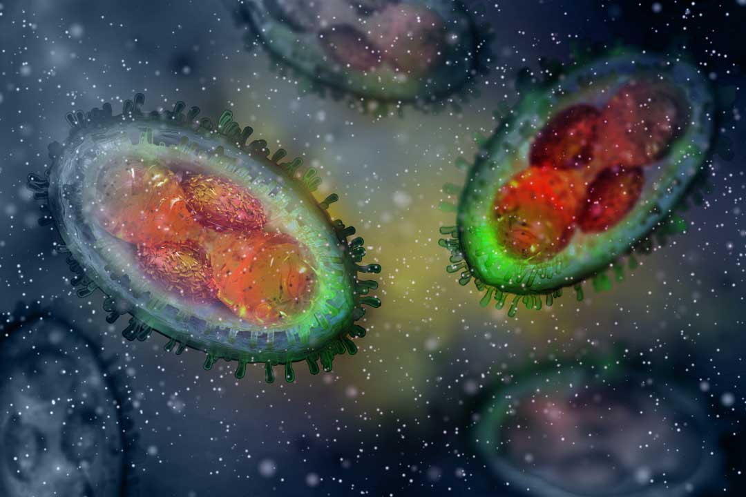 Unveiling the Viral Structure: The Capsid - VIROLOGY RESEARCH SERVICES